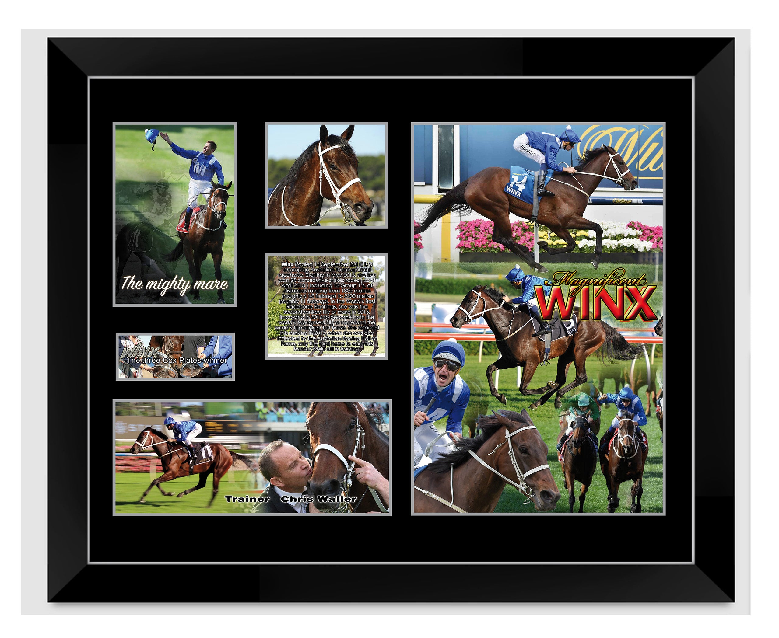 Limited Edition WINX Artworks for Print/Poster, Framed Print, Stretche ...